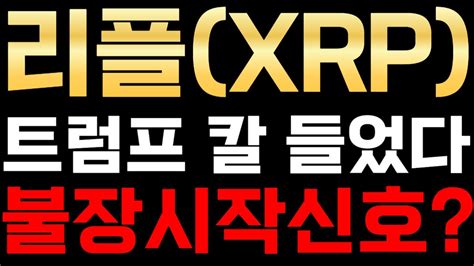 리플 Xrp 트럼프 칼들었다 불장시작신호 파월 관세 알트코인분석 알트코인추천 비트코인 Youtube