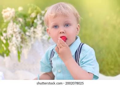 Portrait Small Blonde Baby On Picnic Stock Photo Shutterstock