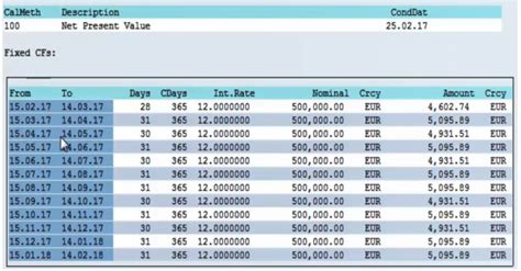 Sap Net Present Value Mark To Market