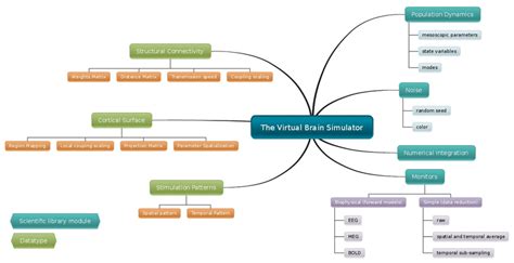 diagram of the configurable elements for building a brain network model