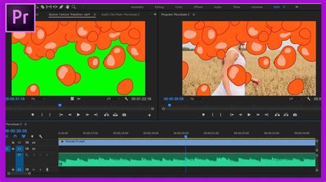 Adobe Premiere Pro Green Screen Lopezpics