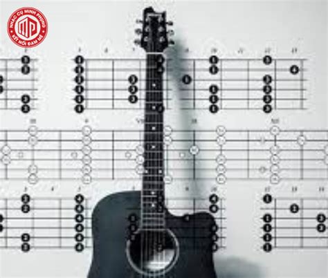 Nhạc Lý Guitar Và Những Mẹo Giúp Học Nhạc Lý Hiệu Quả Nhất Dành Cho