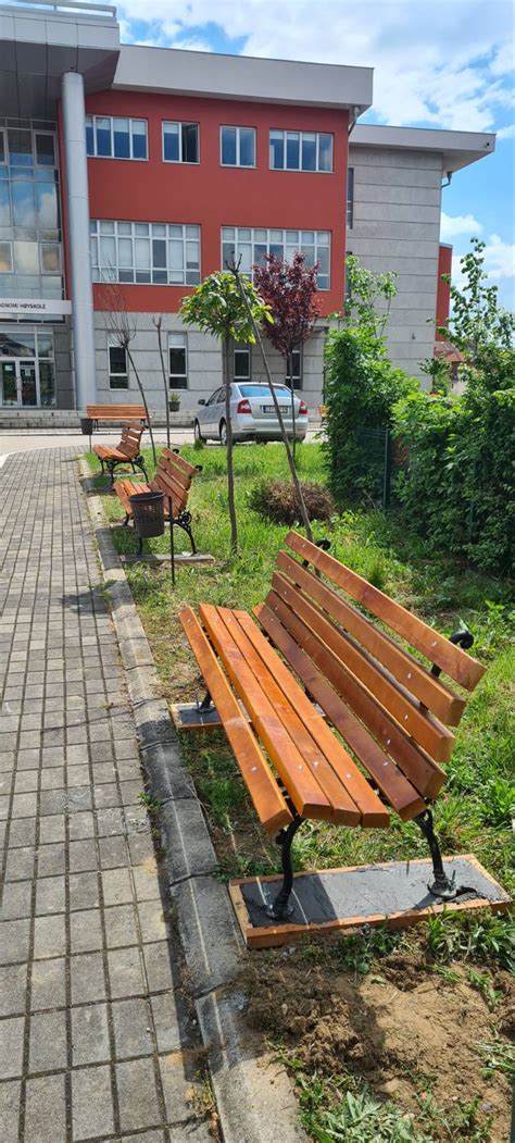 Континуирано радимо на уређењу и улепшавању школског дворишта Одсек Висока пословна школа Лесковац