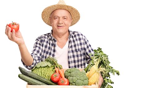 «ФПК Виктория Фермерские овощи оптом от производителя