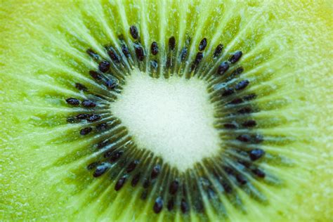 Close Up Of Kiwi Fruit Texture Slice Kiwi Background 19569443 Stock