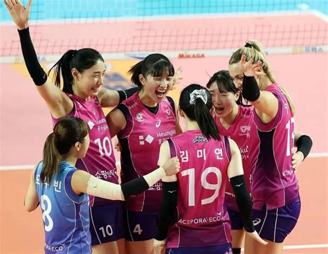 여자배구 흥국생명 현대건설 중계 및 승부예측 상대전적 2023 2024 V리그 스포츠트렌드