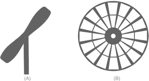Schematics Of A The Model Wind Turbine And B The Actuator Disk Used