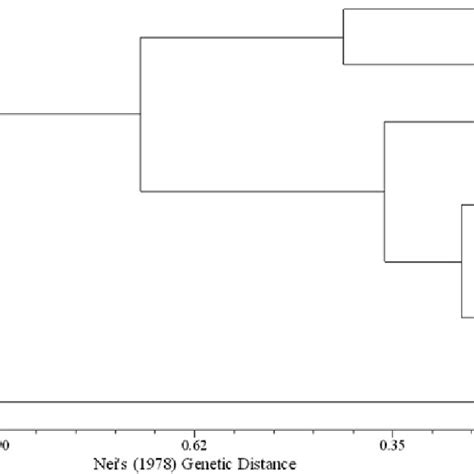 Dendrogram Of Eight Rice Landrace Populations Based On Neis 1978 Download Scientific Diagram