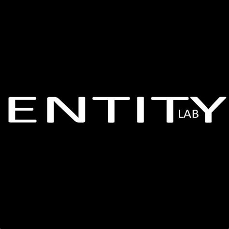 Entity Lab