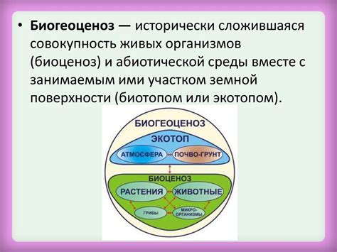 Сообщество экосистема биогеоценоз 9 класс презентация онлайн