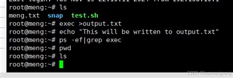 Linux 操作系统下 Exec 命令介绍和使用案例 Csdn博客 Linux 操作系统下 Exec 命令介绍和使用案例 Csdn博客