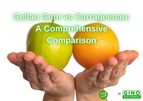 Gellan Gum Vs Carrageenan A Comprehensive Comparison For Better