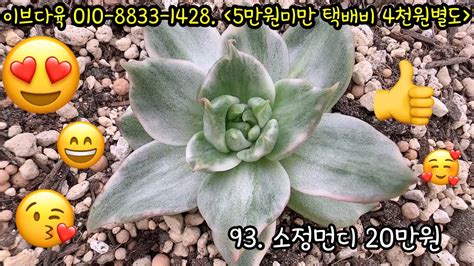 8월4일 덥지만 오늘도 화이팅입니다 이브다육 불금 특가 Youtube