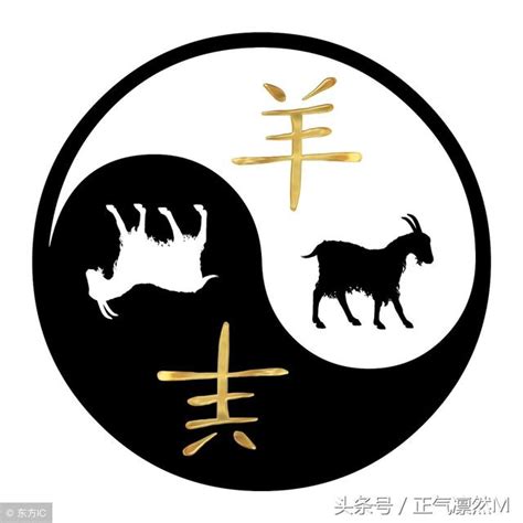 生肖運勢天天看 每日頭條