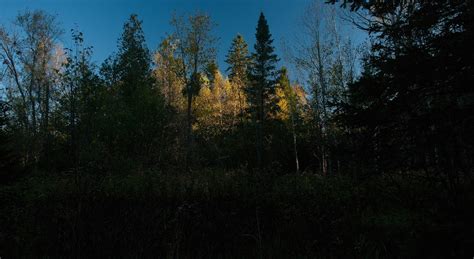 Tomass Hawkkes Naked Nature All About Autumn