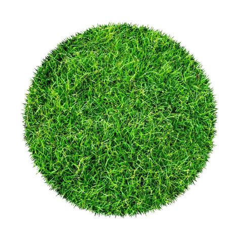 Abstract Green Grass Texture For Background Circle Green Grass Pattern