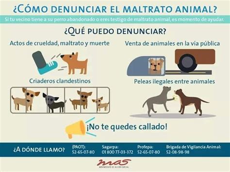 Sabes Cómo Denunciar El Maltrato Frente Por La Enseñanza