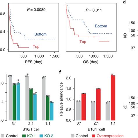 Immunosuppressive Cell Expression Models Gene Signatures Of T Cell Download Scientific Diagram