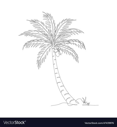 Coconut Tree Line Art Royalty Free Vector Image