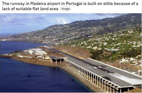 Is It Possible To Tame Dinos Found In Artifact Caves R Ark