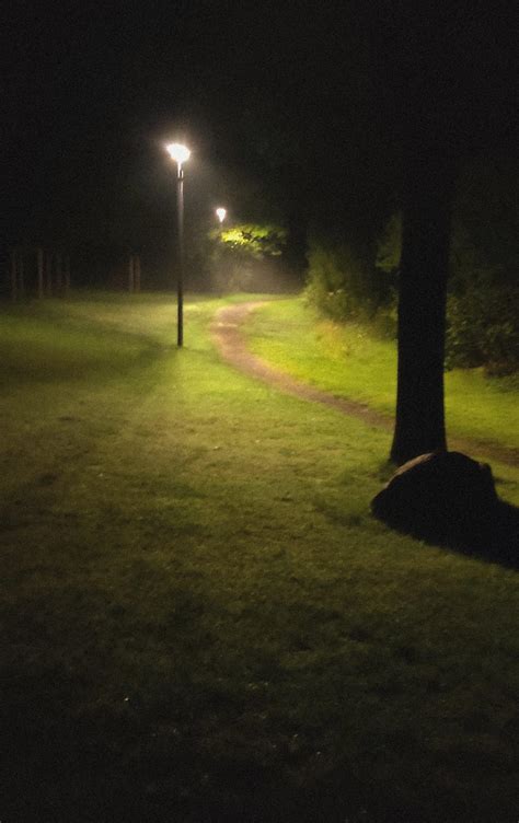 The Walk Home After A Party Shortcut Through The Park Rliminalspace
