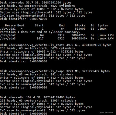 Linux扩展分区 Csdn博客