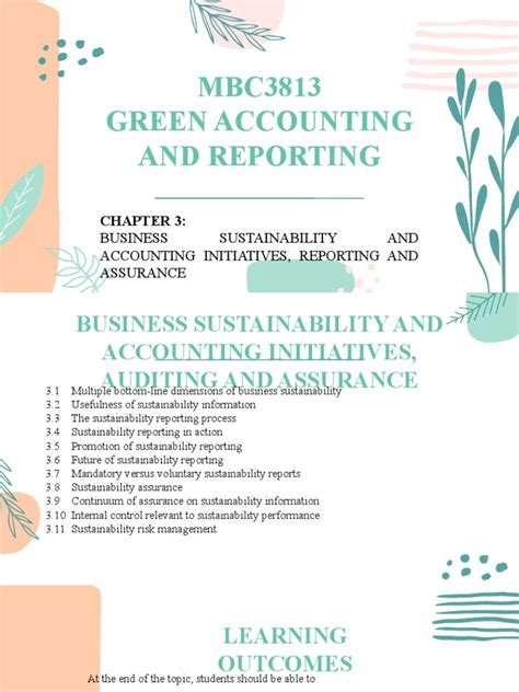 Chapter 3 Week 3 And 4 Amended Pdf Audit Sustainability