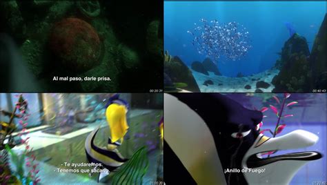 Blog Pelis Buscando A Nemo 2003 Dvdrip Latino