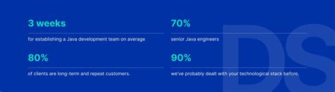 Java Software Development Company DigitalSuits