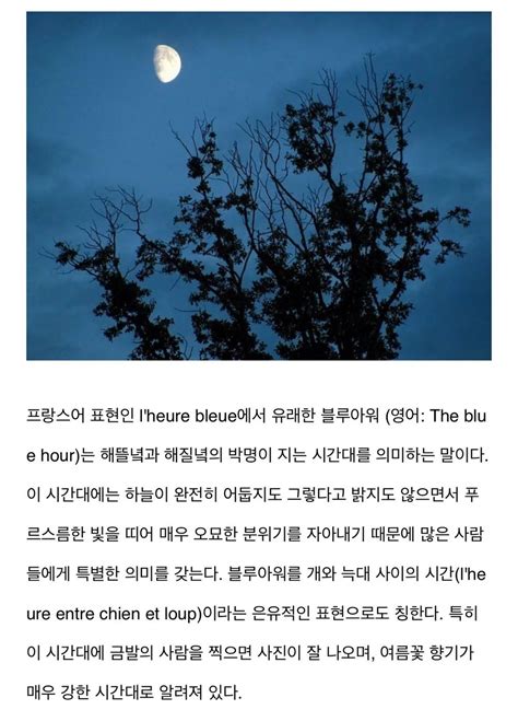 해연갤 ㅍ ‘개와 늑대의 시간의 뜻