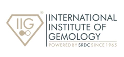 Truscholar Blockchain Powered Digital Credential Issuance Platform