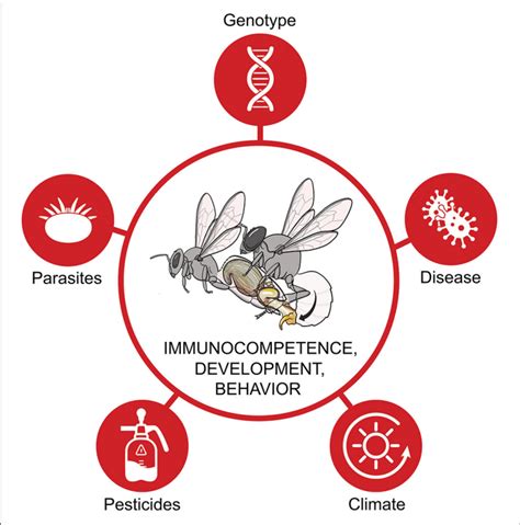 Factors Affecting Insects Abilities To Survive And Reproduce