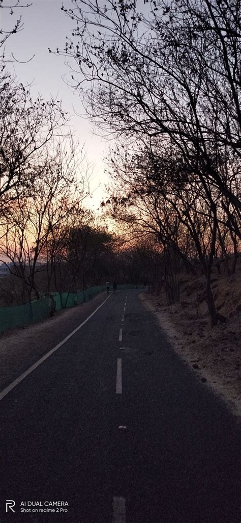 Dhruv Malge On Linkedin Trees Nature Tree Naturephotography