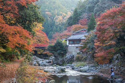 Jingo Ji Kyoto Hike Master Japan