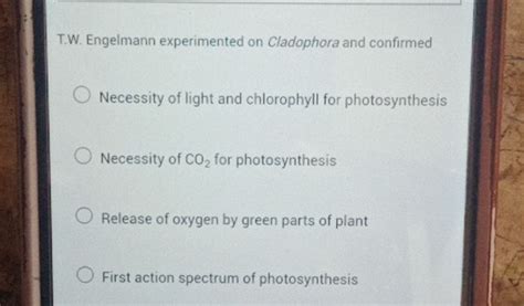 Tw Engelmann Experimented On Cladophora And Studyx