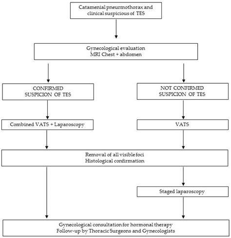 Flow Chart For The Multidisciplinary Treatment Download Scientific