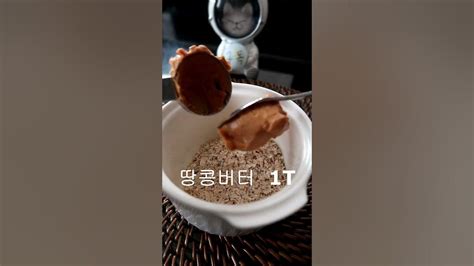 60초비법 전자렌지로 오트밀 빵 만들기~ Youtube