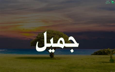 اسم جميل مزخرف بالعربي والإنجليزي ومعناه وصوره