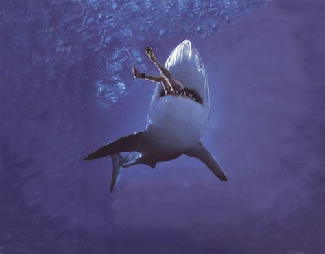 Chrissie Is Devoured Jaws Photo 2082880 Fanpop