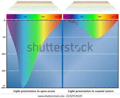 Visible Colors Light Penetrate Differently Into Stock Vector Royalty Free