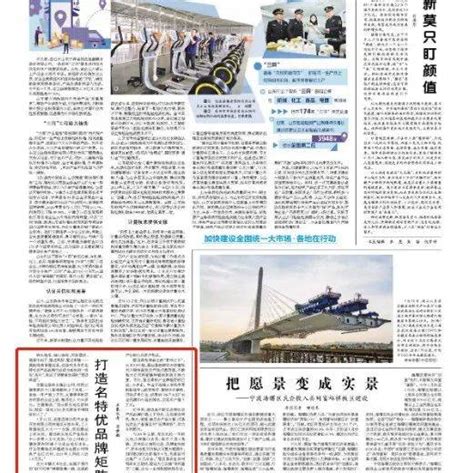 【央媒看澄迈】打造名特优品牌矩阵地瓜种植桥头