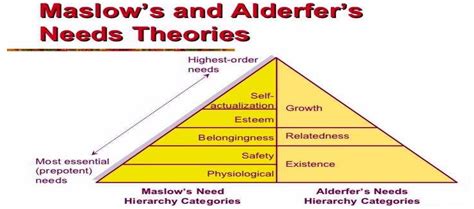 The Alderfers Erg Model Developed By Clayton P Alderfer