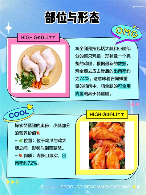 鸡全腿和琵琶腿区别