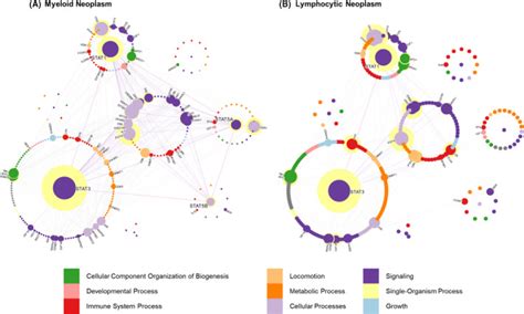 Jak‐stat Core Cancer Pathway An Integrative Cancer Interactome Analysis Pmc