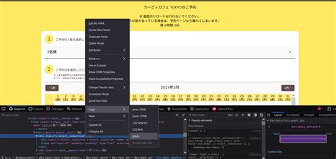 Reservation Bot With Selenium
