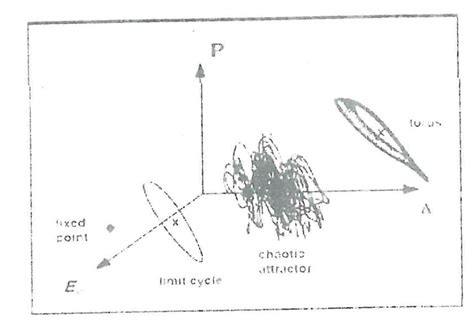 1 Schematic Attractors 18 Download Scientific Diagram