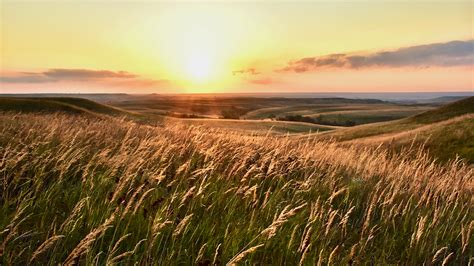 Photo Gallery Fall Comes To The Konza Prairie K State Alumni Association