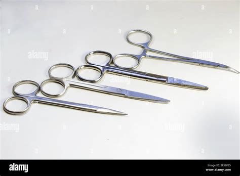 A Dissection Kit With Stainless Steel Surgical Instruments For Medical Students To Practice