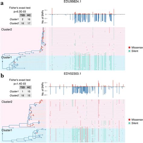Ggtree Phylogenetic Tree Visualization And Annotation