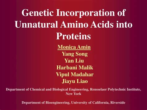 Ppt Genetic Incorporation Of Unnatural Amino Acids Into Proteins